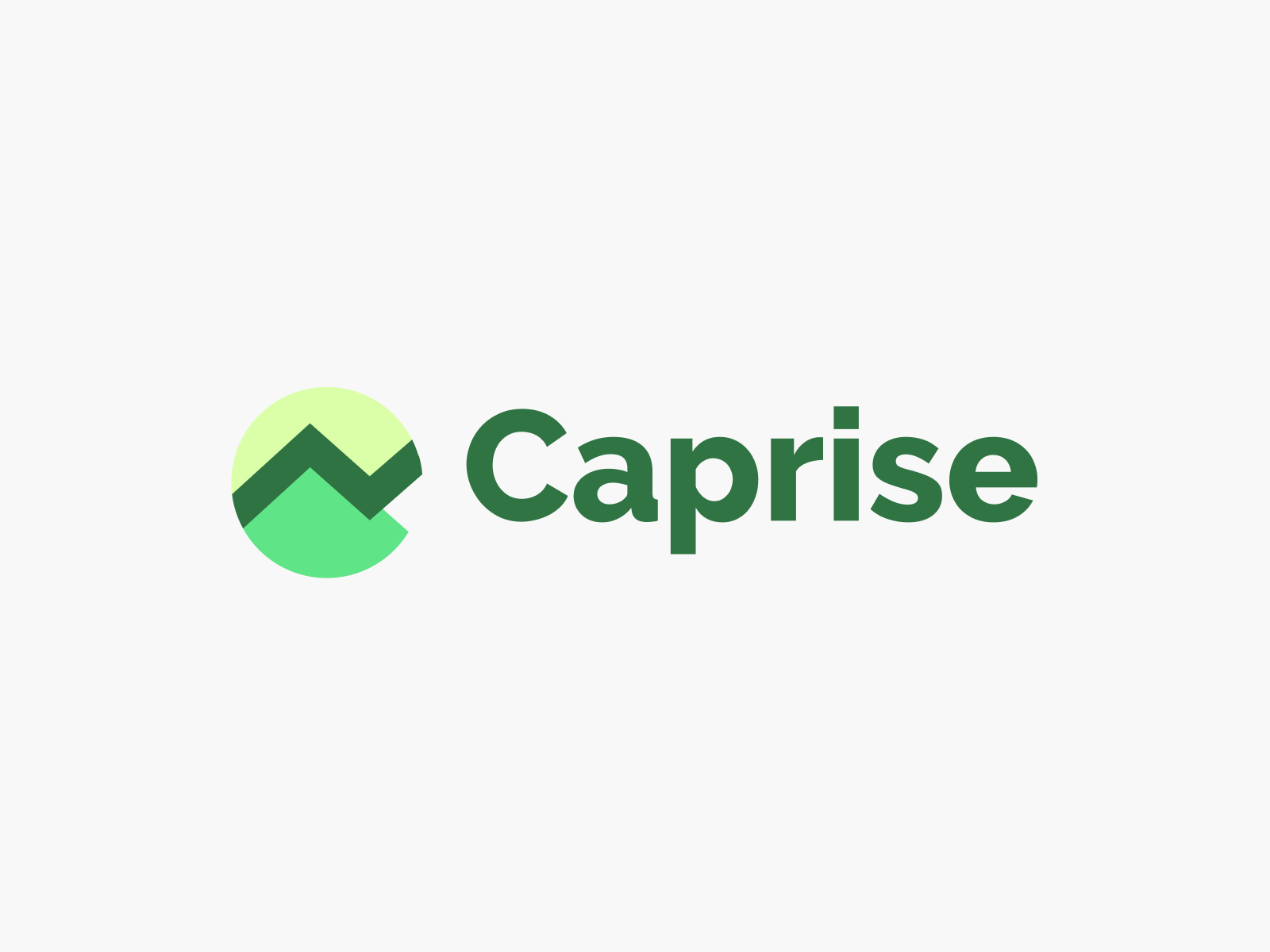 Caprise – Logo Design for Startup Growth & Investment